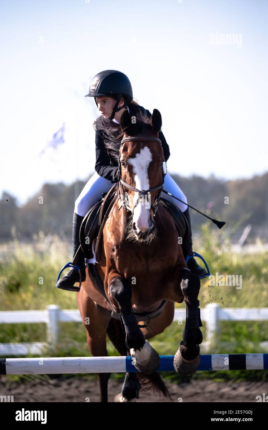 Outdoor jumping competition hi-res stock photography and images - Alamy