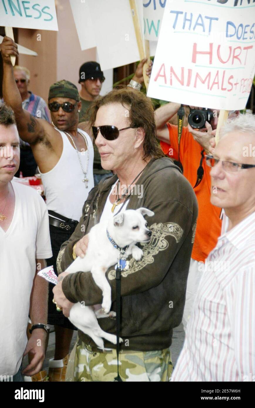 Mickey rourke dog hi-res stock photography and images - Alamy
