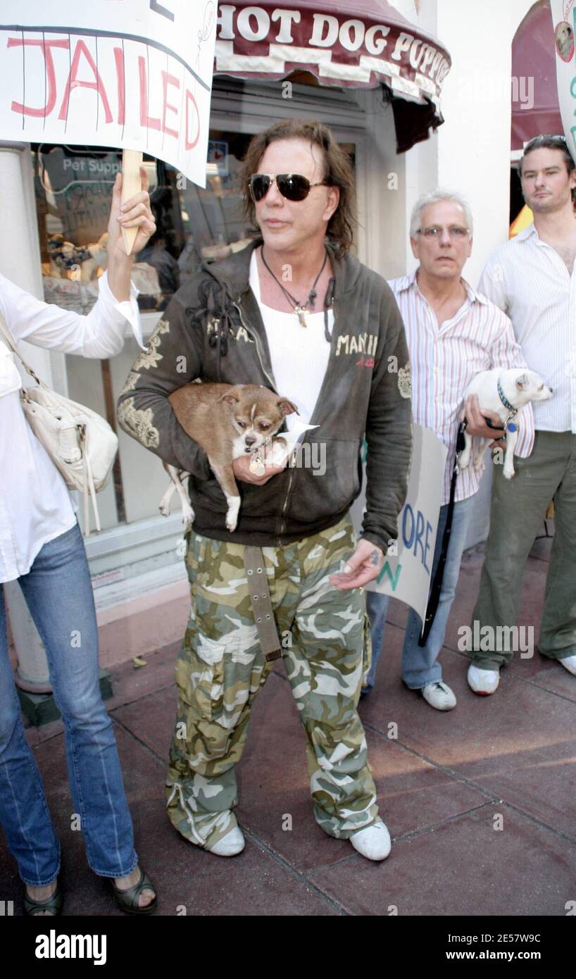 Mickey rourke dog hi-res stock photography and images - Alamy