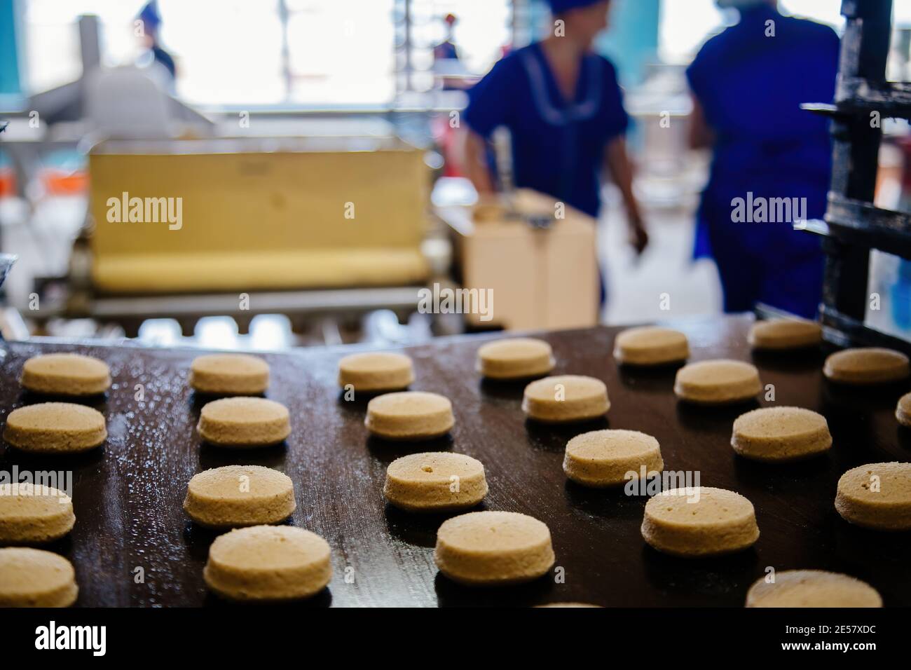 Baking production line. Raw uncooked cookies after forming going to ...