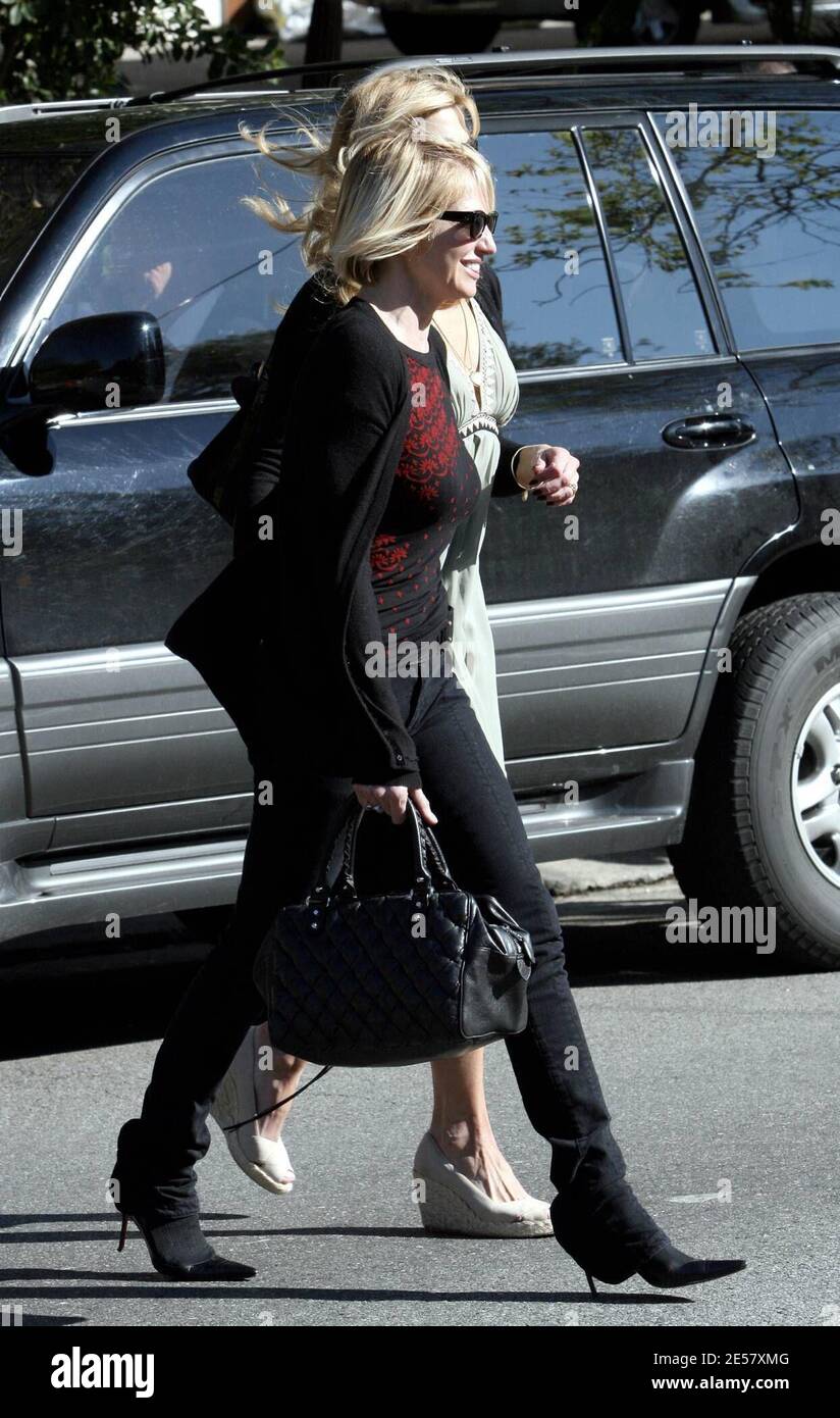 Ellen Barkin attends a pre-Oscar party in Beverly Hills, Ca. 2/24/07 ...
