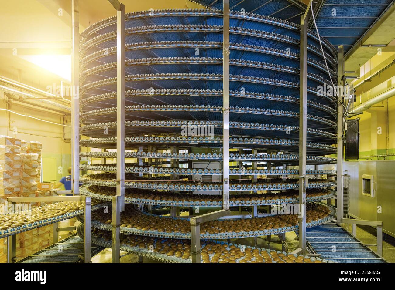 Automated round conveyor machine in bakery food factory, cookies and ...