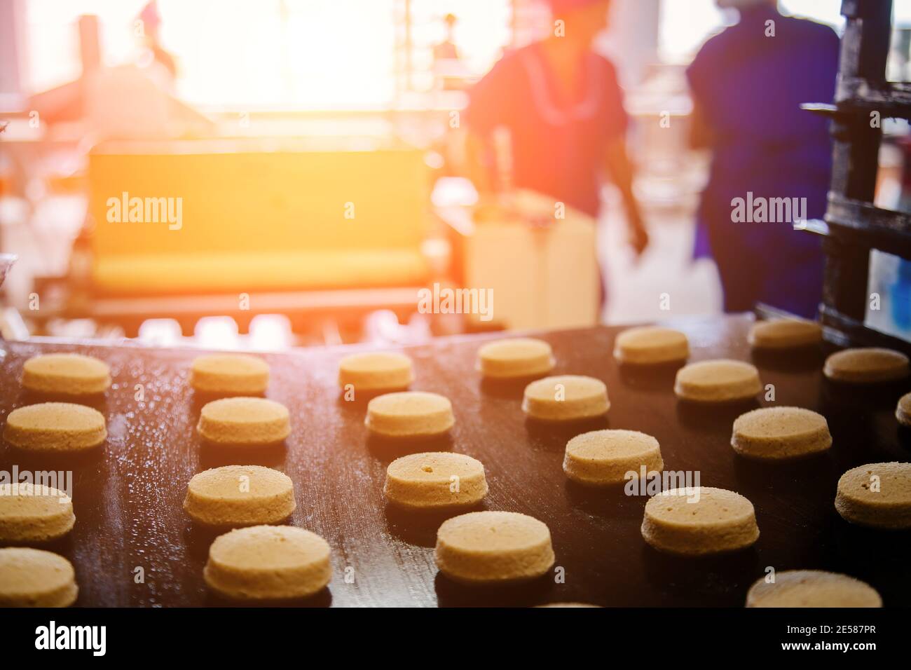 Baking production line. Raw uncooked cookies after forming going to ...