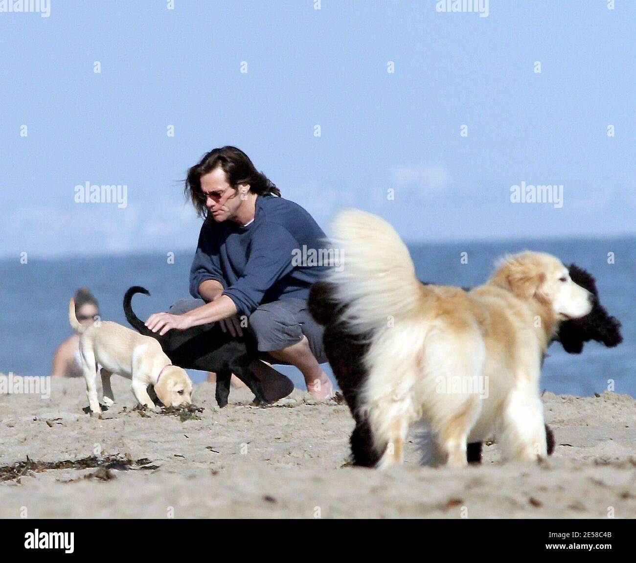 Jim Carrey has his hands full with two new bundles of joy. His puppies ...