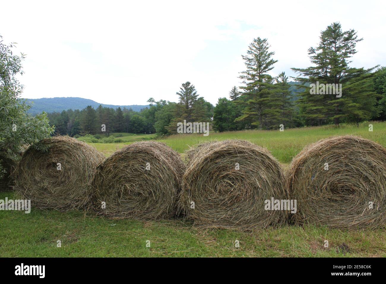 Four hay bales at a farm in Plymouth Notch, Vermont in summer Stock ...