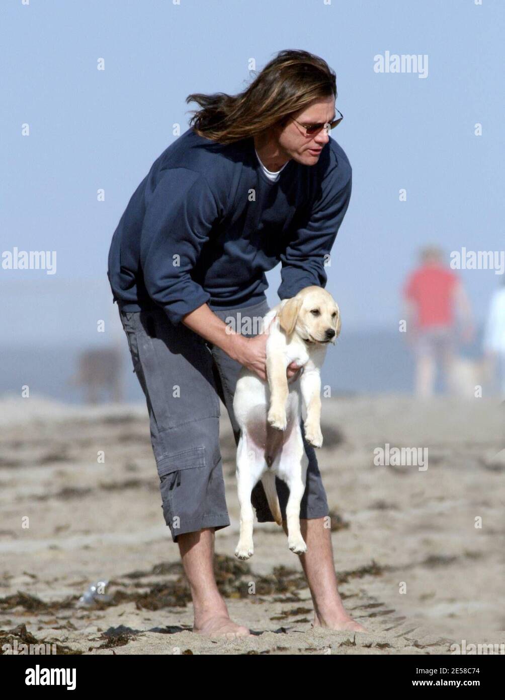 Jim Carrey has his hands full with two new bundles of joy. His puppies ...