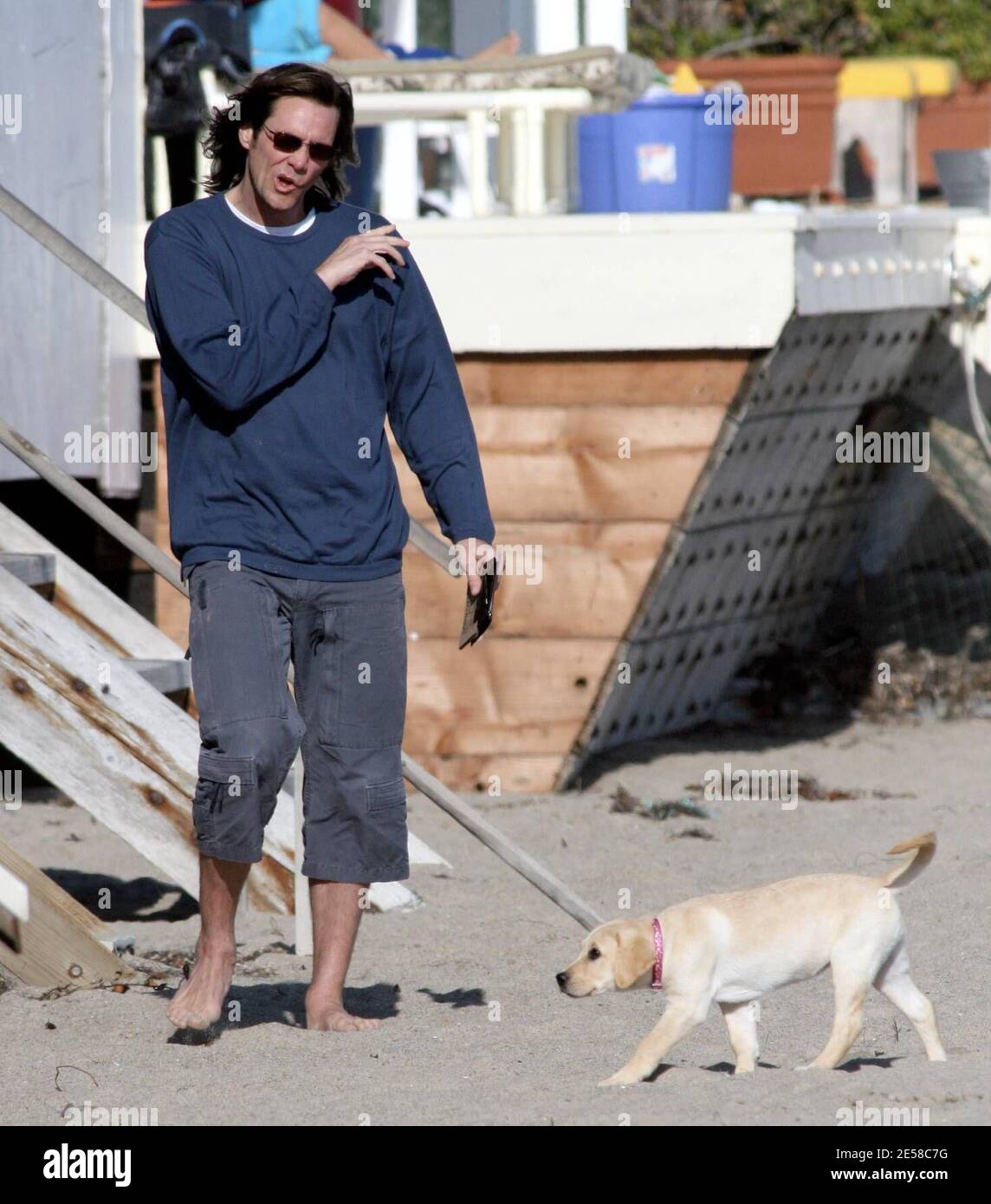 Jim Carrey has his hands full with two new bundles of joy. His puppies ...