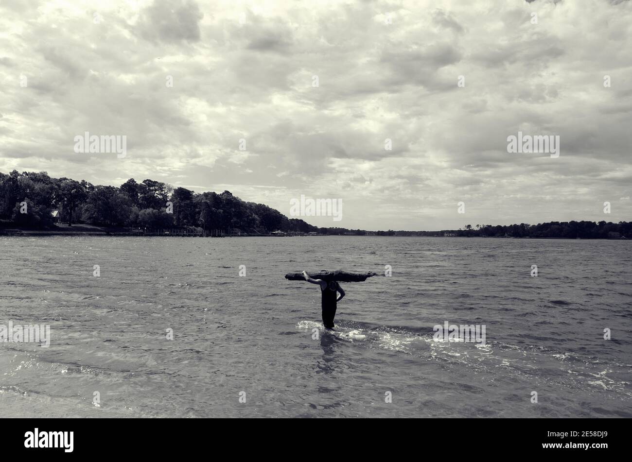 Person, man, carrying a log over shoulder and wading in water Stock ...