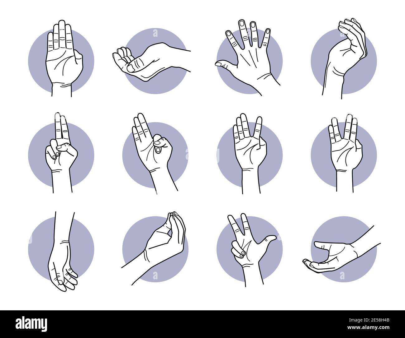 Hand fingers and palm gestures. Vector illustrations of various poses of hand fingers and ...