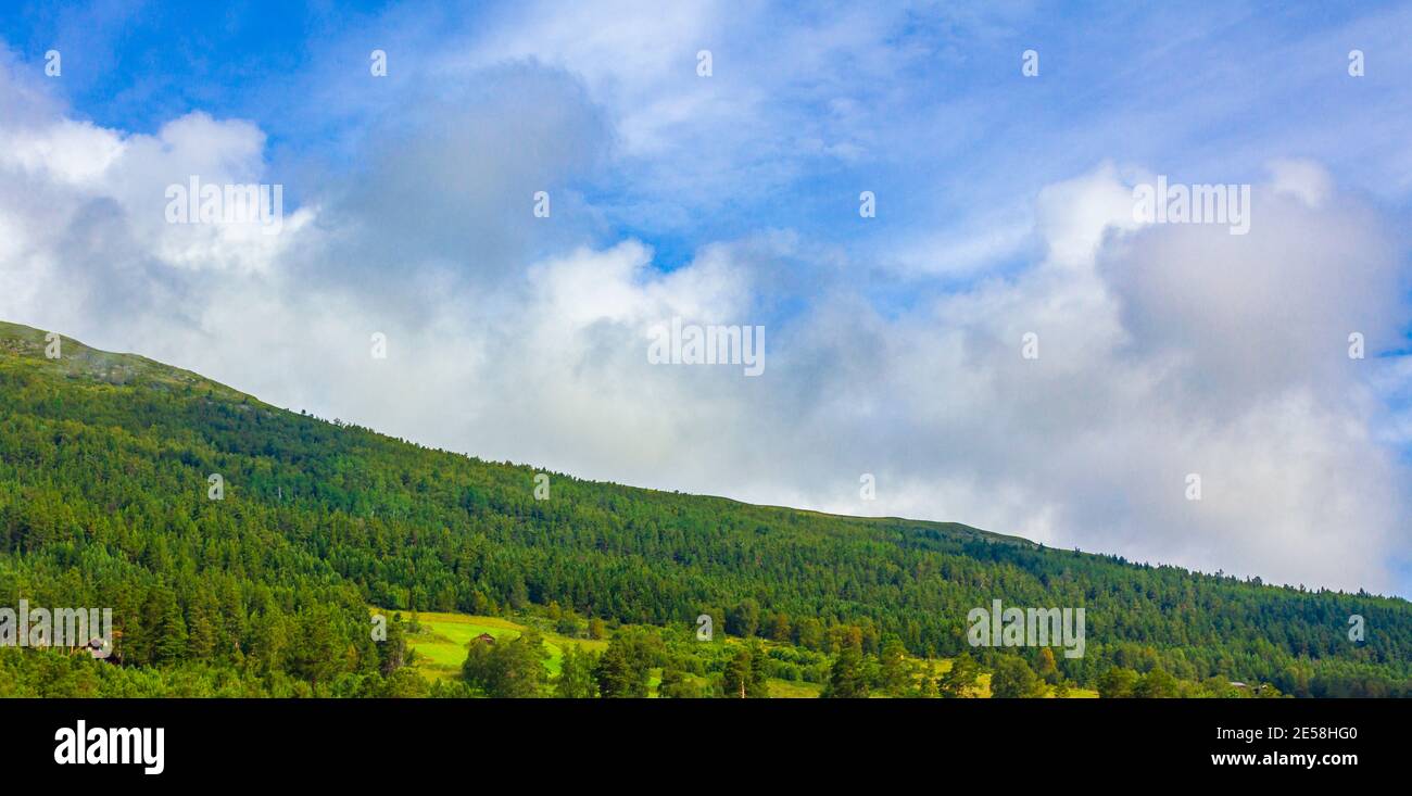 Amazing incredible norwegian landscape with mountains and forests in ...