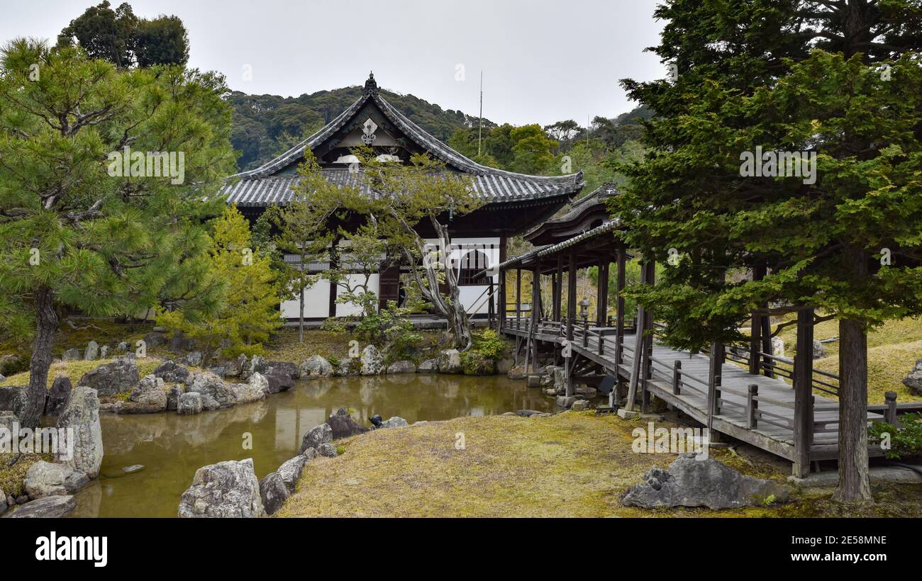 The castle on the forest japan Stock Photo - Alamy