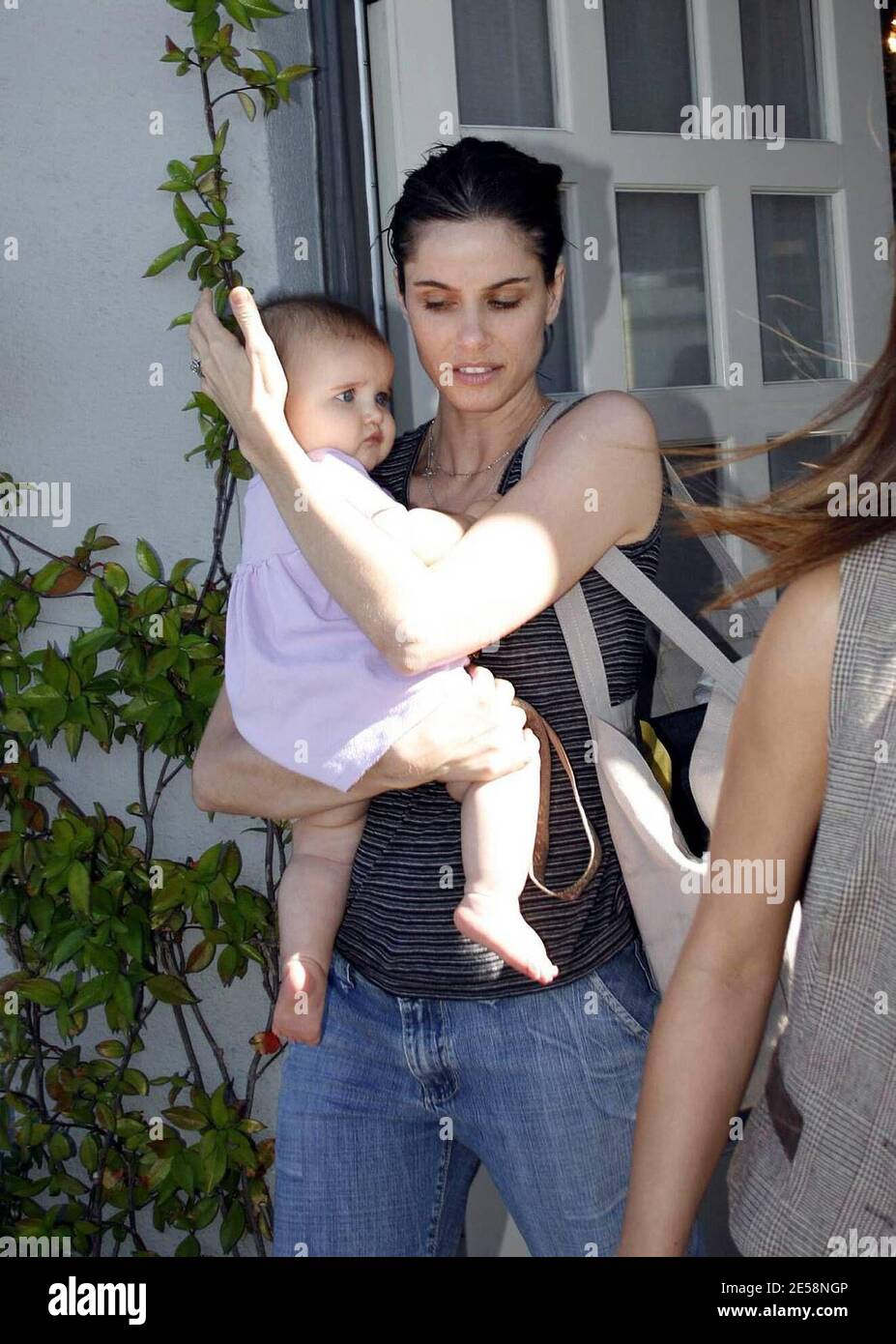 Amanda Peet Family 2022