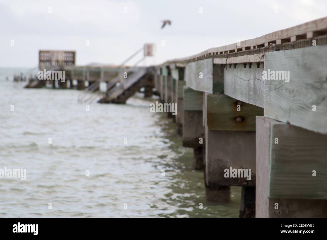 Board walk on sea shore, Key West, Florida, USA Stock Photo - Alamy
