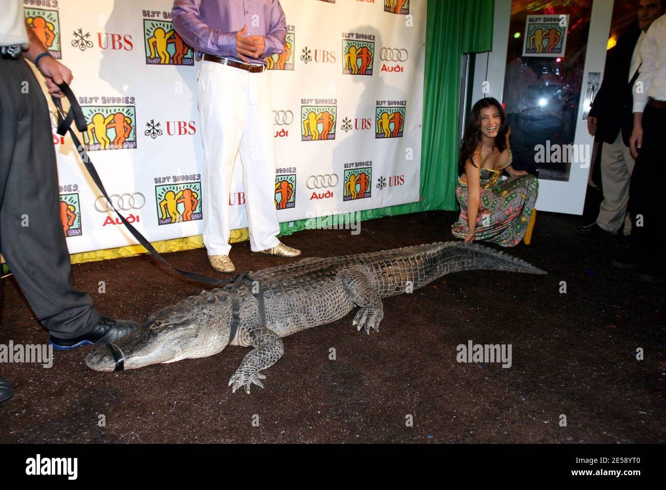 Kelly Hu arrives at the 11th Annual Best Buddies Gala and makes friends ...