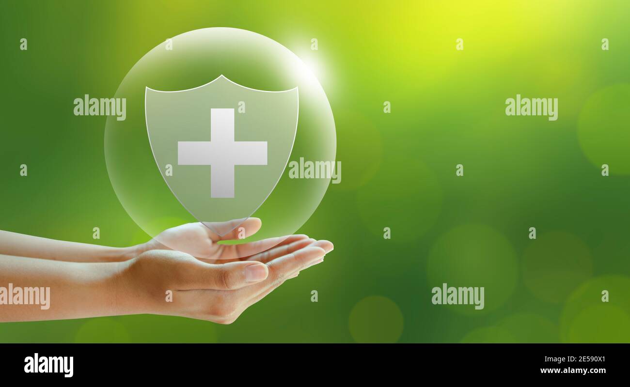 Vector shield hi-res stock photography and images - Alamy