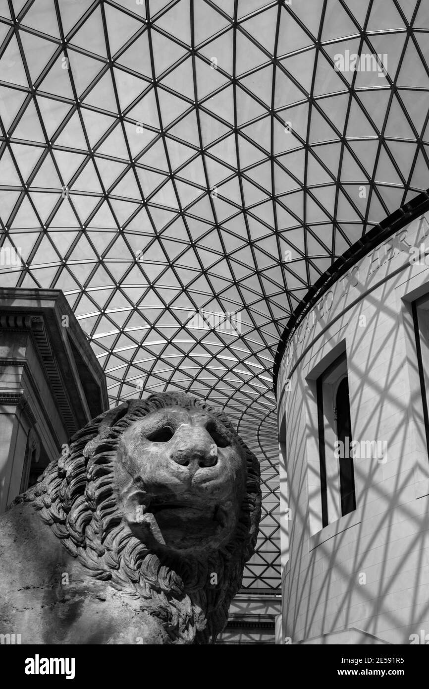 Roman lion Statue under the glass ceiling of the British Museum Stock ...