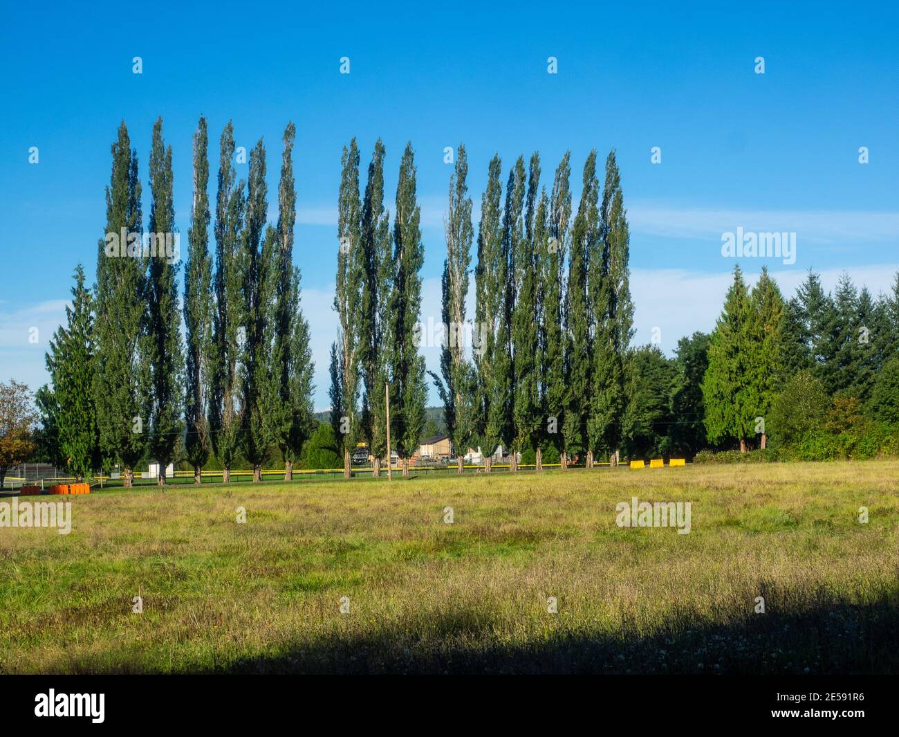 Tolt-MacDonald Park and Campground is located in Carnation at the ...