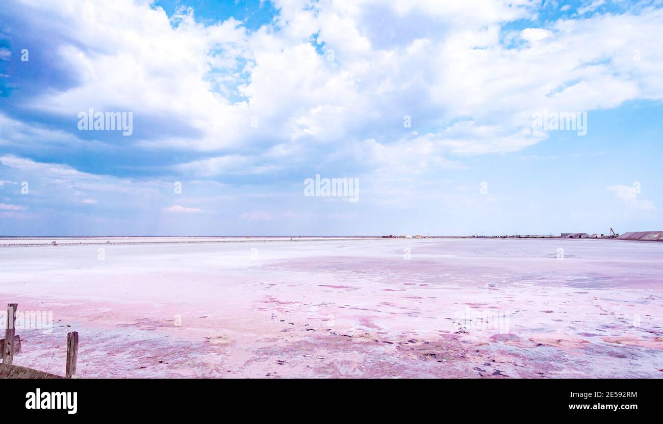 People gathering salt of pink salty Siwash Lake, colored by microalgae ...