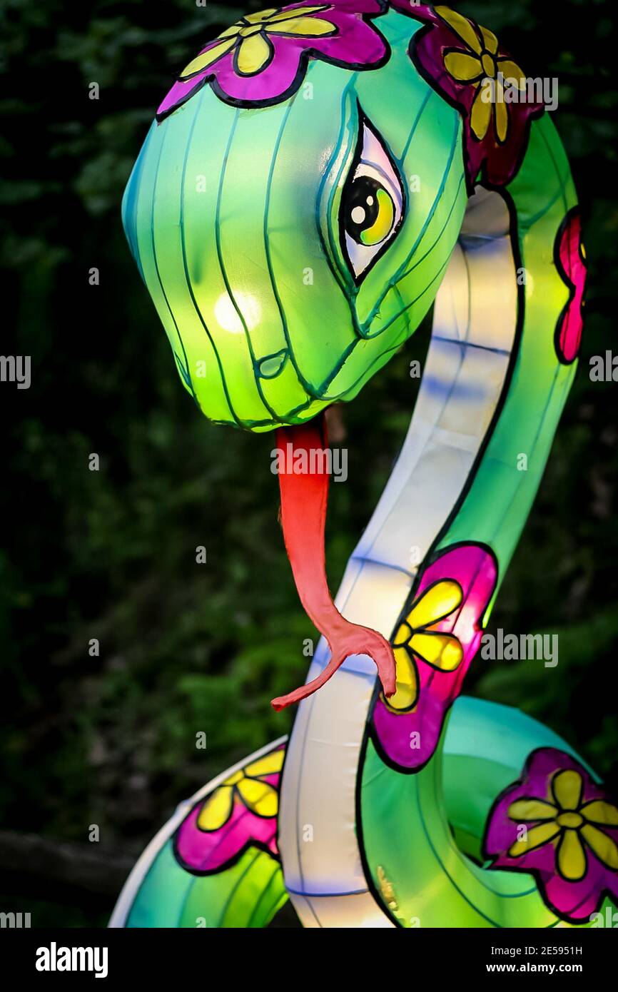 Vertical shot of the toy snake Balloon outdoors Stock Photo - Alamy