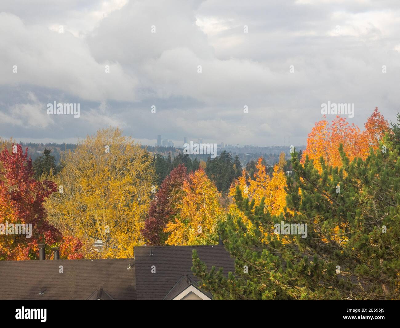 Seattle skyline tower mountain day hi-res stock photography and images ...