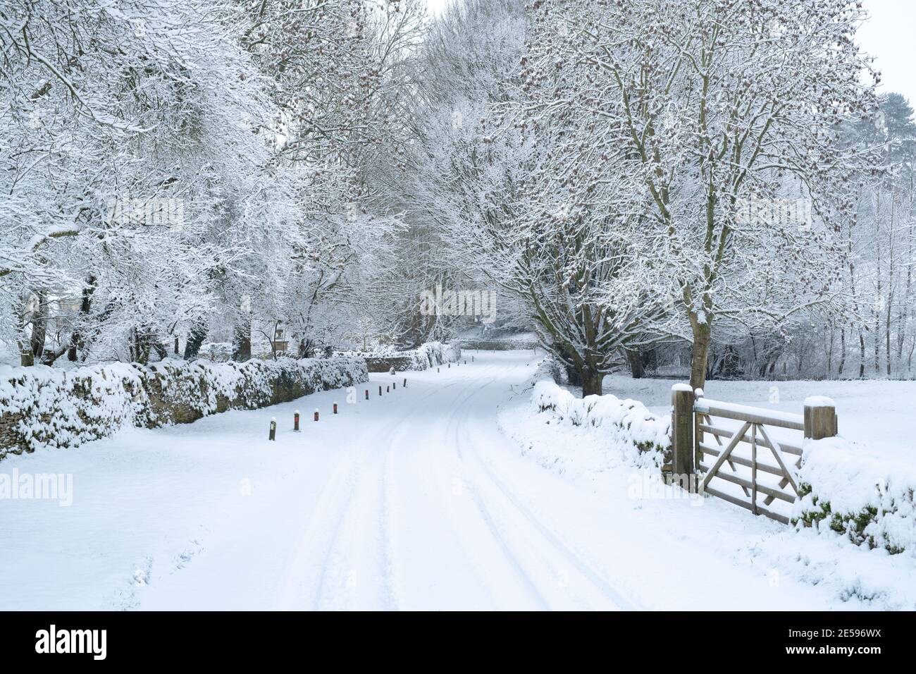 Country road and trees into Swinbrook in the snow. Swinbrook, Cotswolds ...