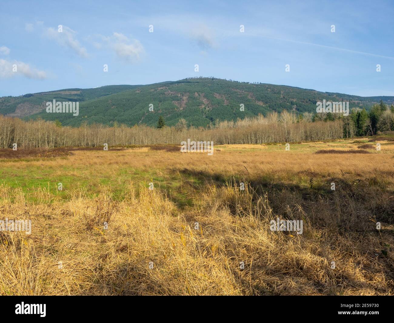 Northern State Hospital is a historic hospital campus in Sedro-Woolley ...