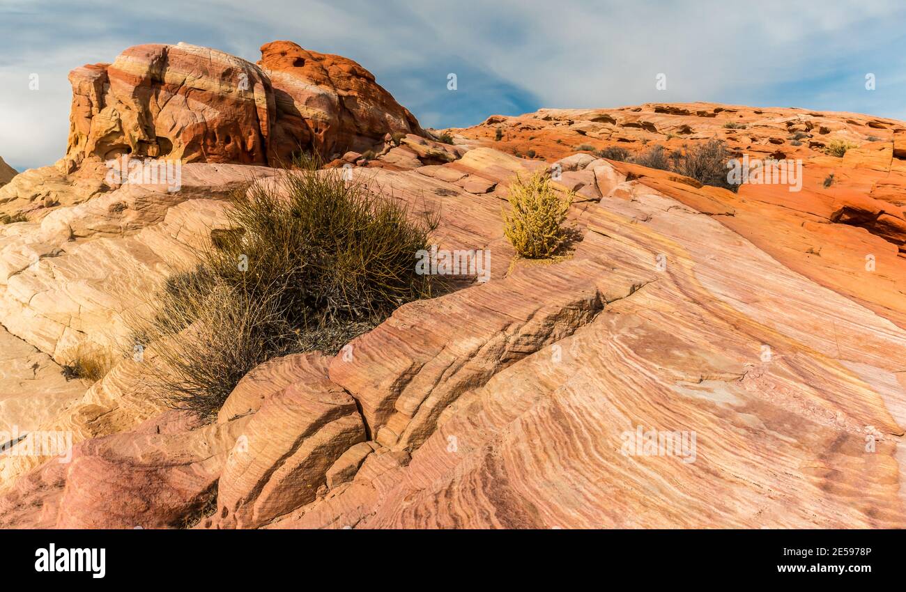 Pastel Colored Stripes and Nike Rock Near Kaolin Wash, Valley of Fire ...