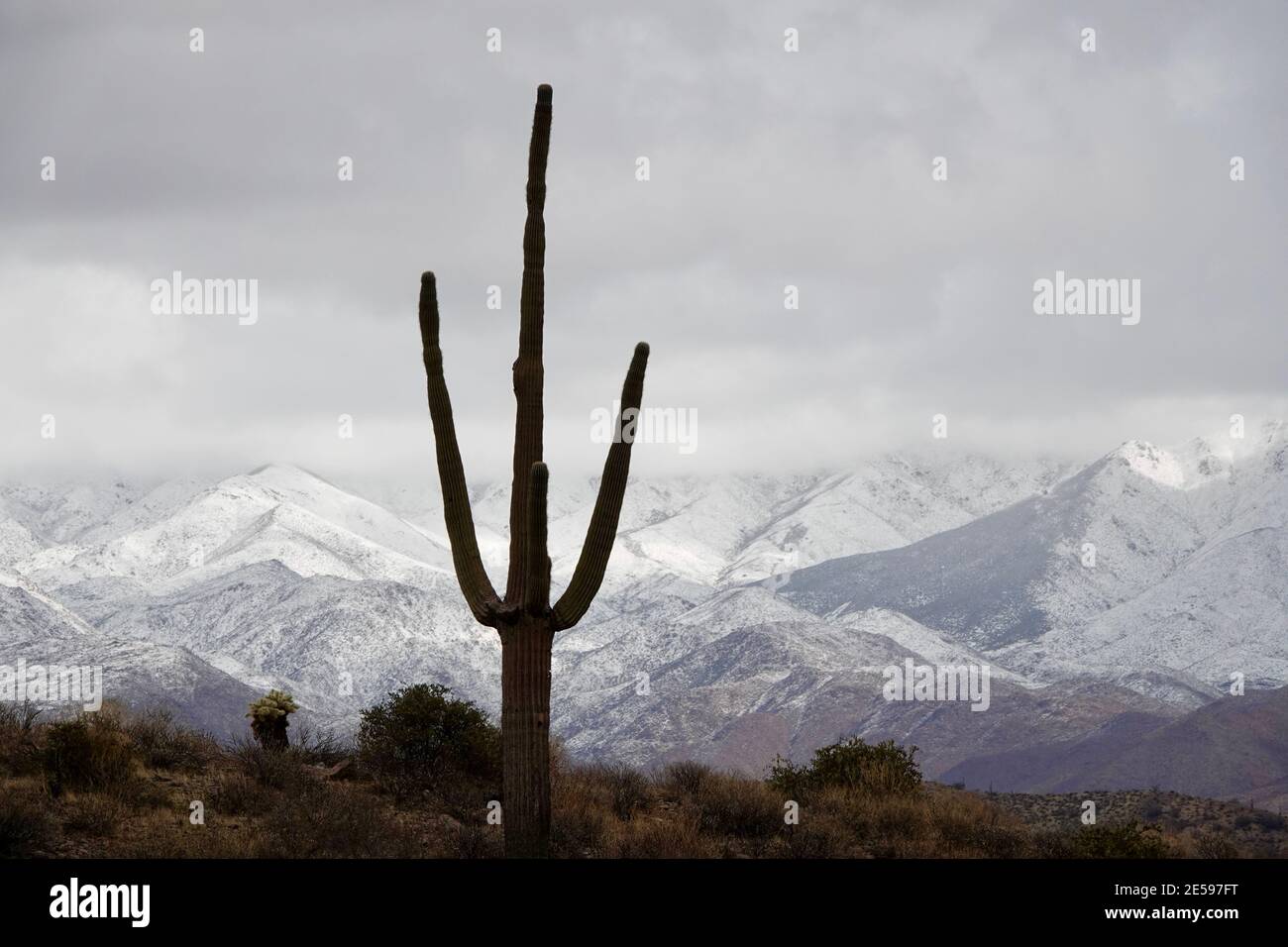 A winter storm covers the Four Peaks Mountains in snow in the Arizona ...