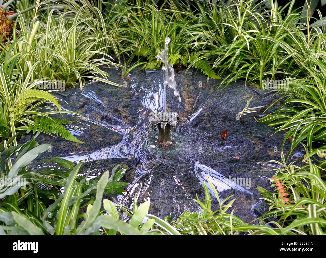 Small water fountain hi-res stock photography and images - Alamy
