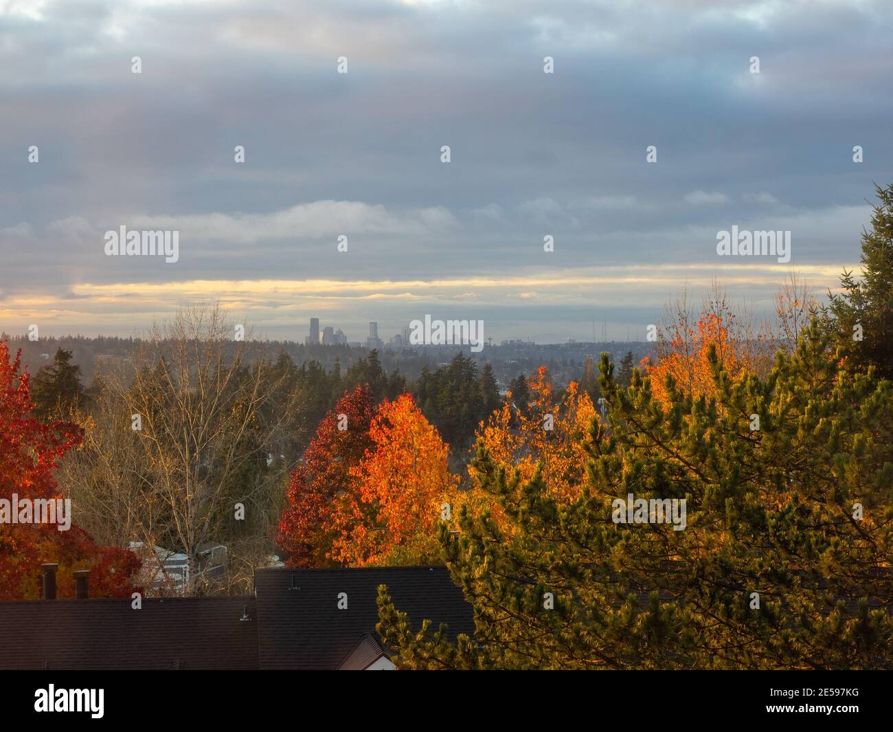 Downtown seattle skyline day hi-res stock photography and images - Alamy