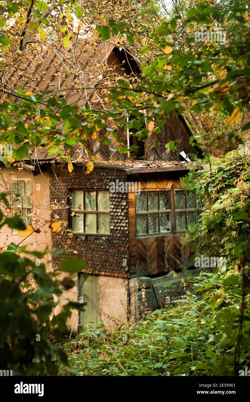 charming small house in the middle of a forest among trees Stock Photo ...