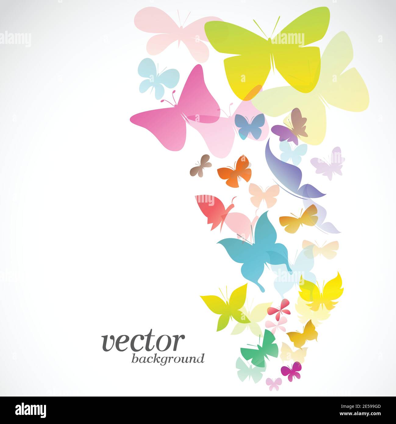 Butterfly design on white background - Vector Illustration Stock Vector ...