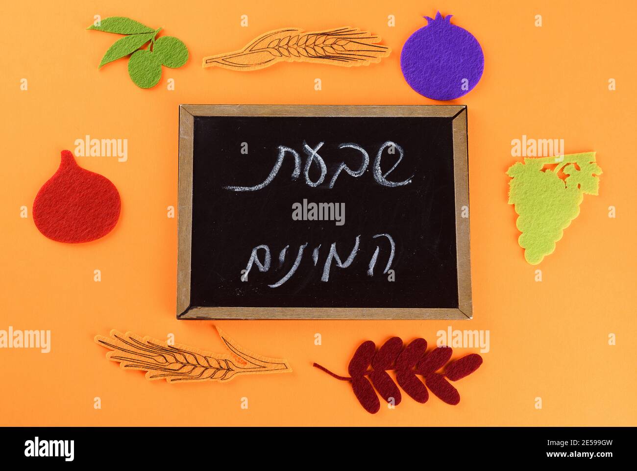 Tu Bishvat greeting card, Jewish holiday, new year of trees.Hebrew text ...