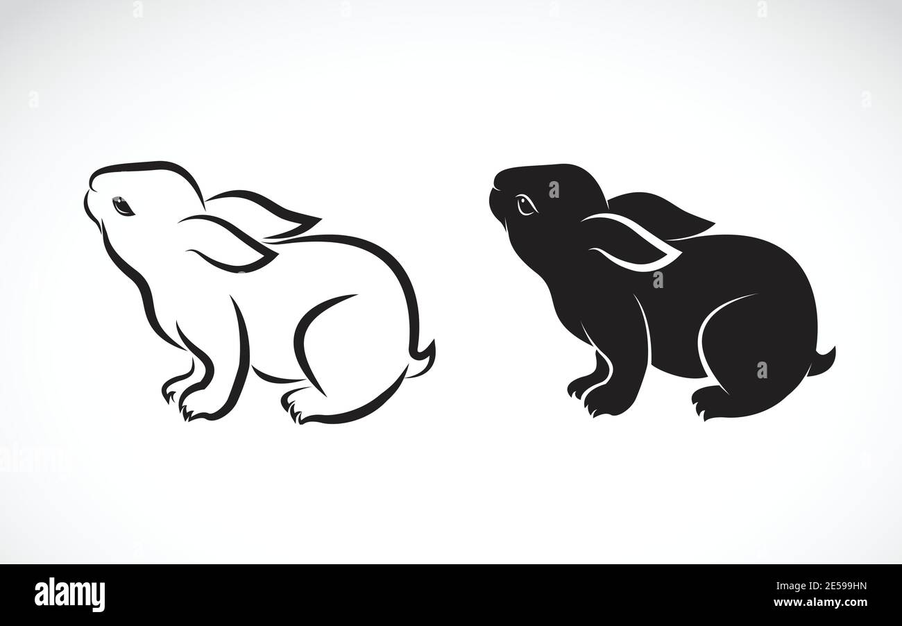 Vector image of an rabbit design on white background. Easy editable ...