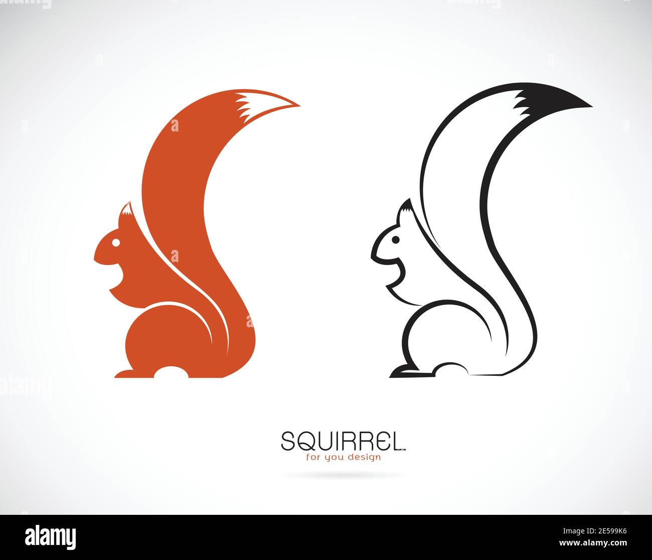 Vector of squirrel design on white background. Mammal. Animals Stock ...