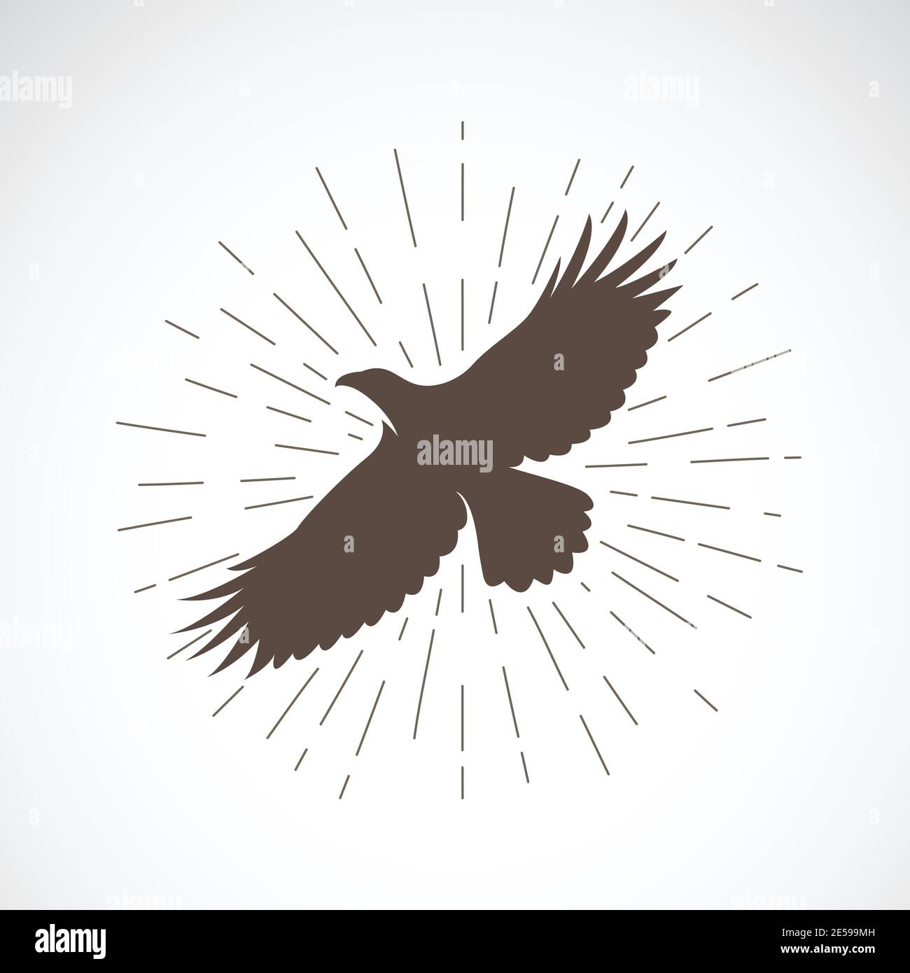 Vector of eagle on white background. Animal. Eagle symbol. Vector ...