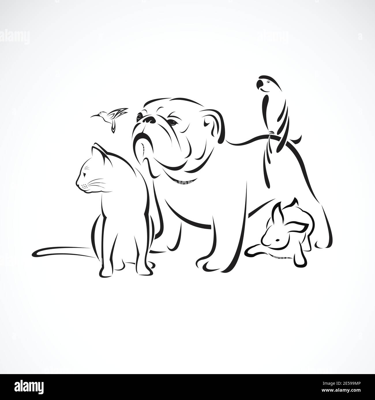 Veterinarian cat dog bird Stock Vector Images - Alamy