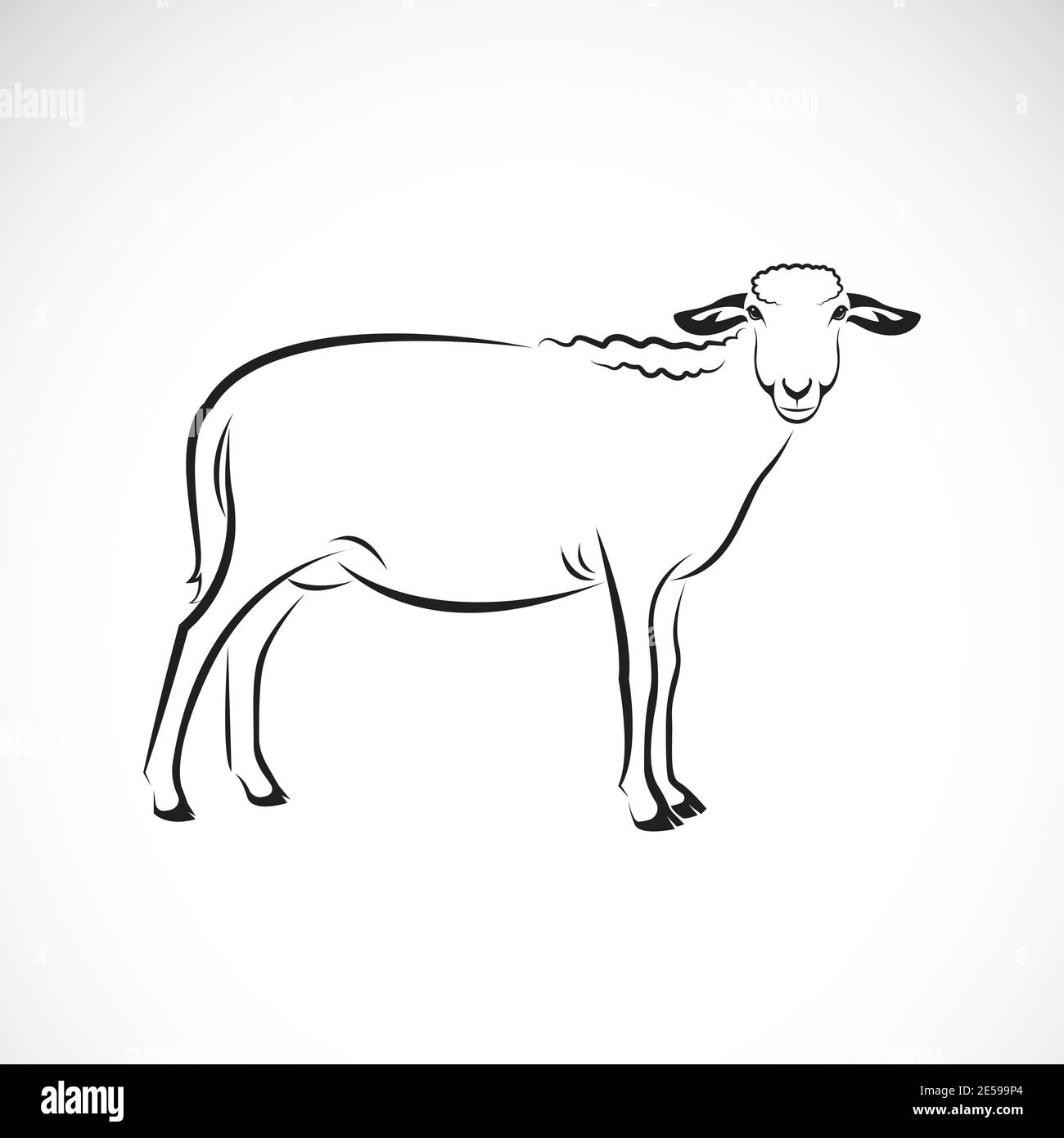 Mutton vector Stock Vector Images - Alamy