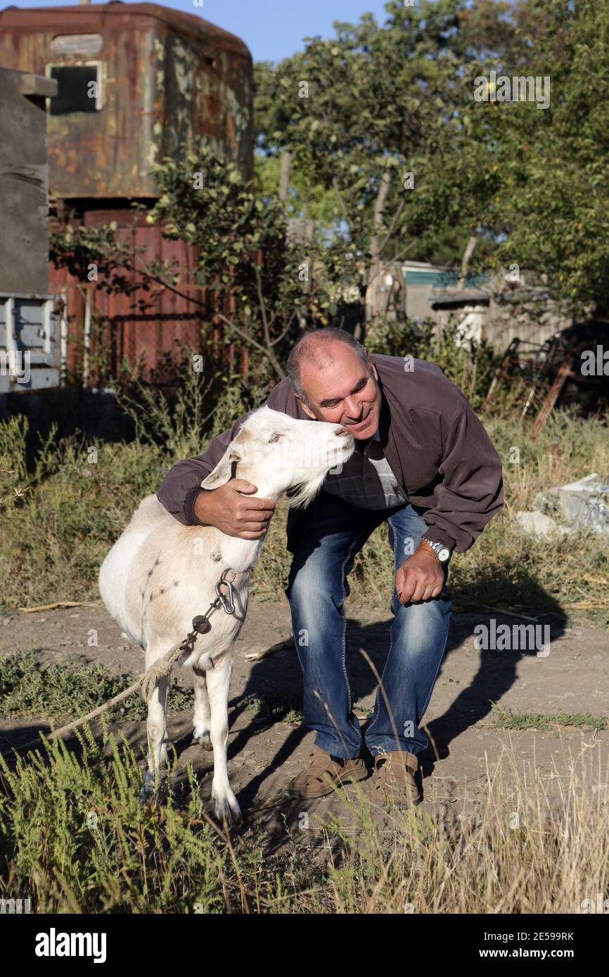 Man with a goat on the farm Stock Photo - Alamy