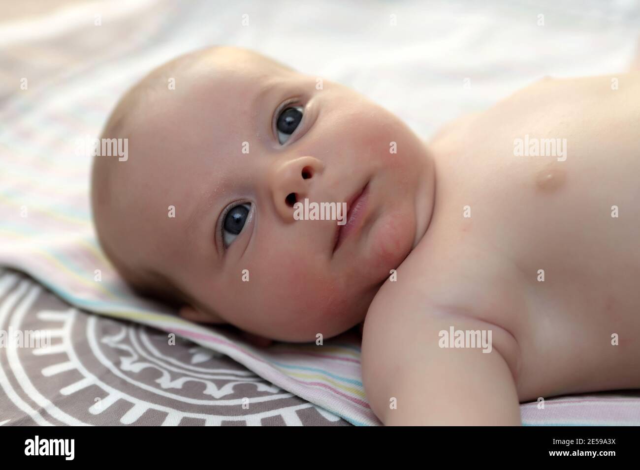 Portrait of a thinking baby boy on a bed Stock Photo - Alamy