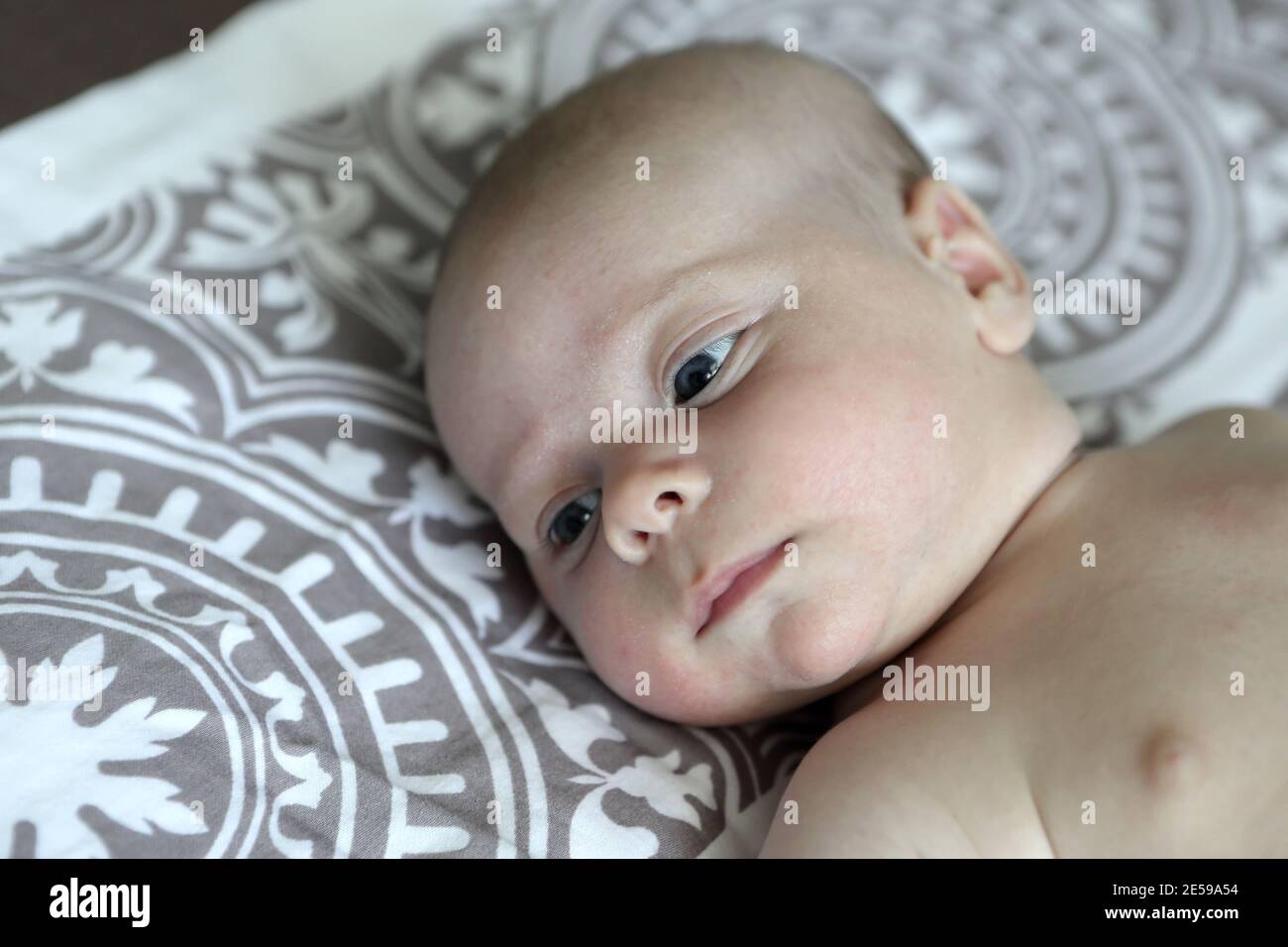 Senior newborn hi-res stock photography and images - Alamy