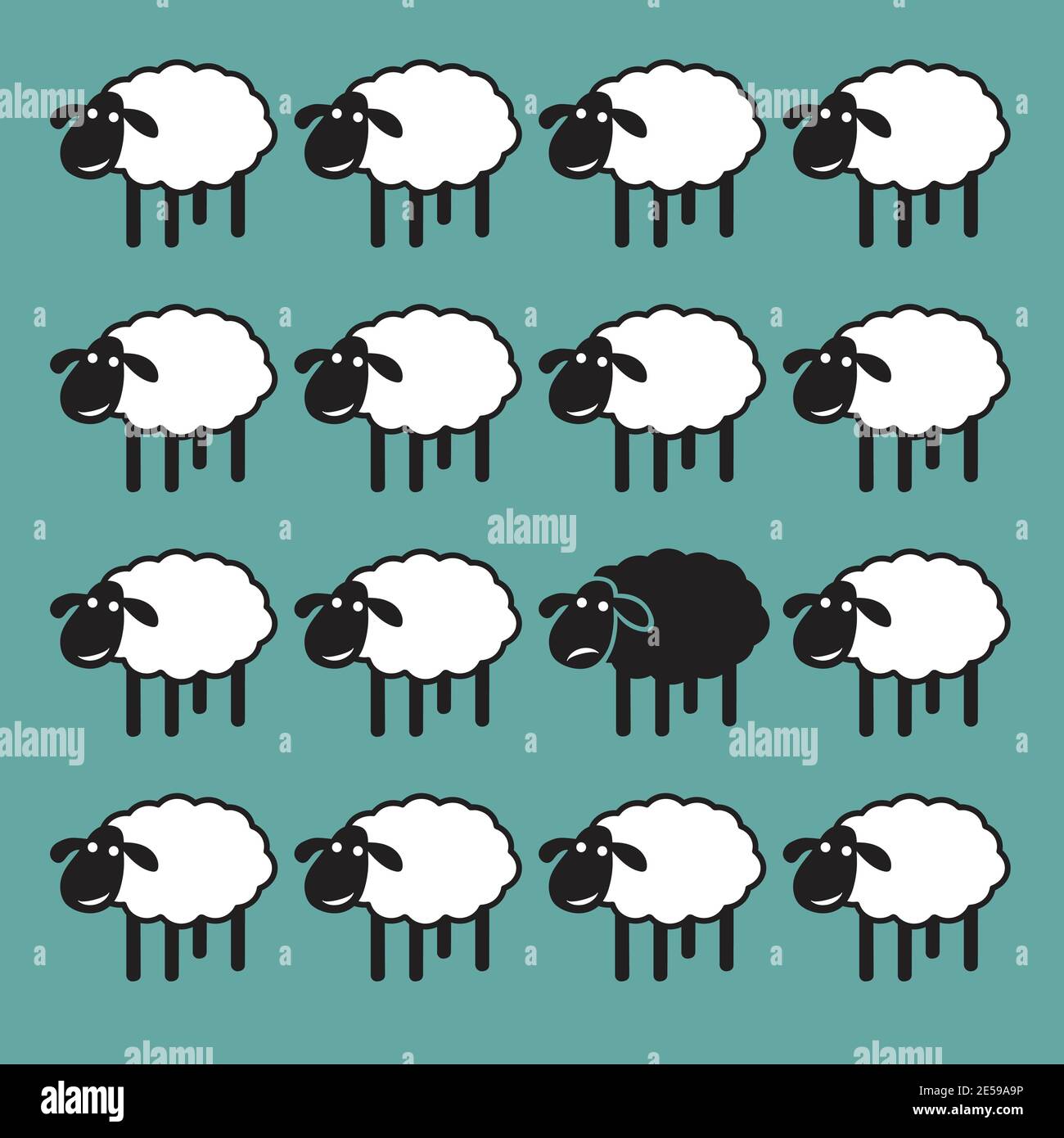 Single black sheep in white sheep group. dissimilar concept. Easy ...