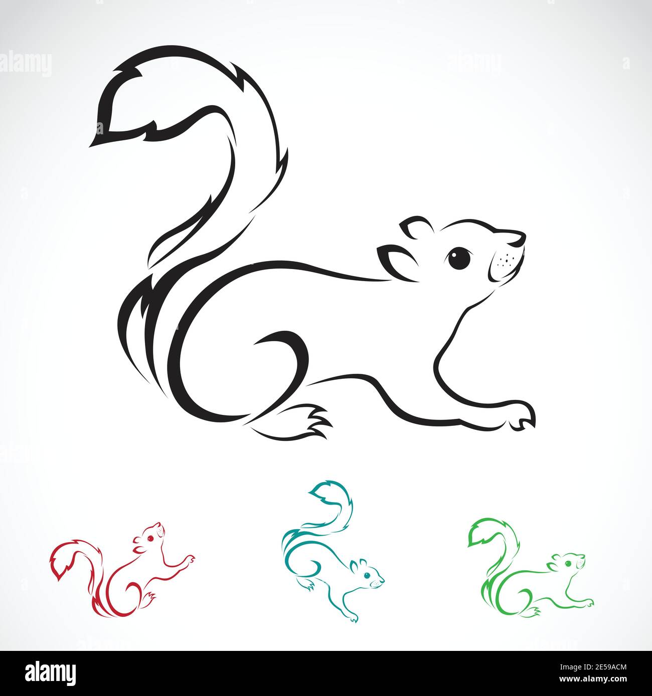 Vector image of an squirrel on white background. Easy editable layered ...
