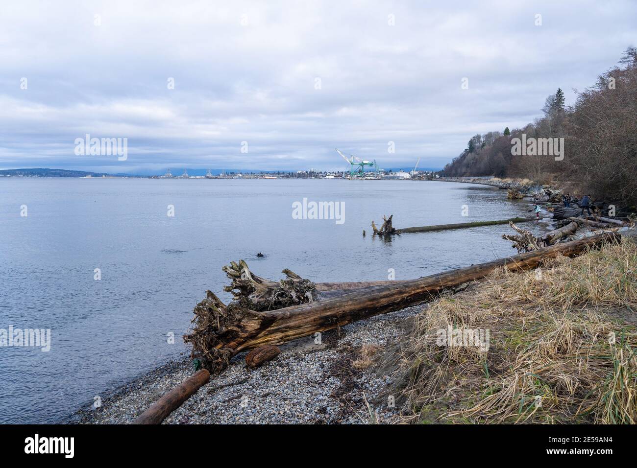 Howarth Park, Everett. A 28-acres, three-tired park on the Everett ...