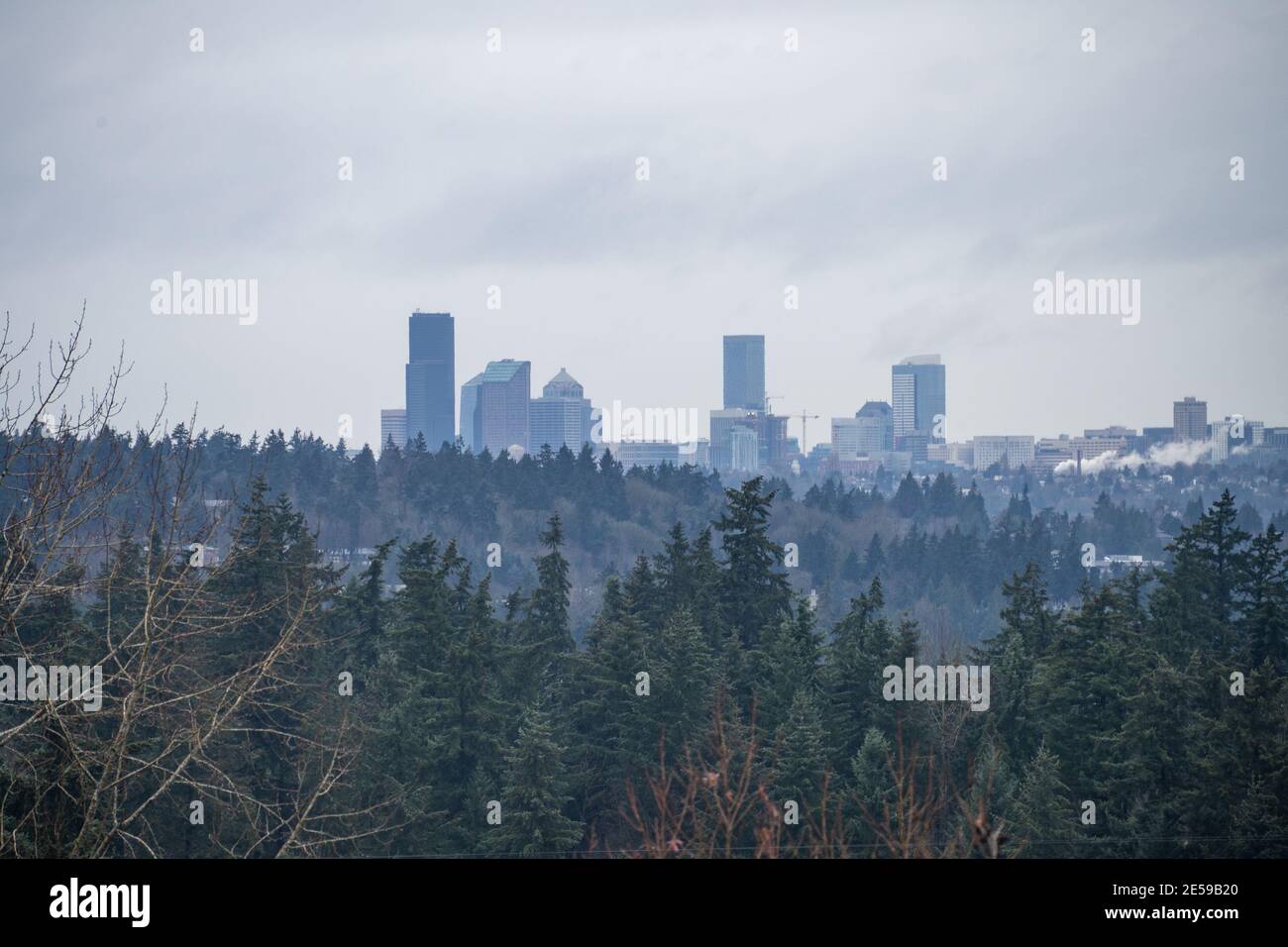 Seattle skyline tower mountain day hi-res stock photography and images ...