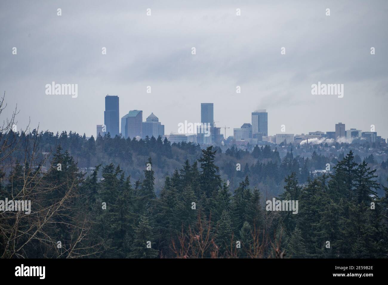 Seattle cloudy skyline view on winter day Stock Photo - Alamy