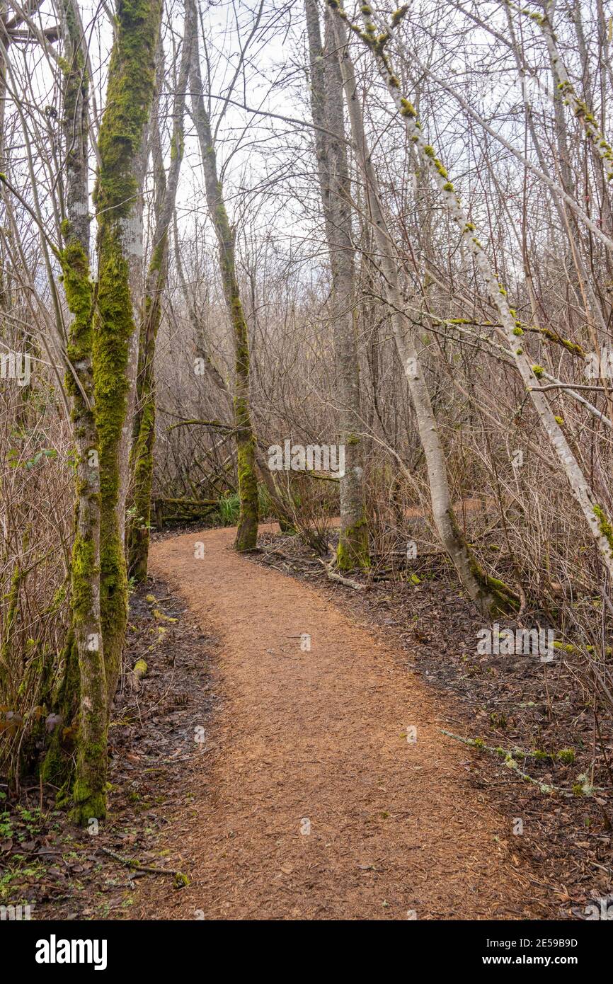 Mercer Slough Nature Park is a 320-acre wetland lushly populated with ...