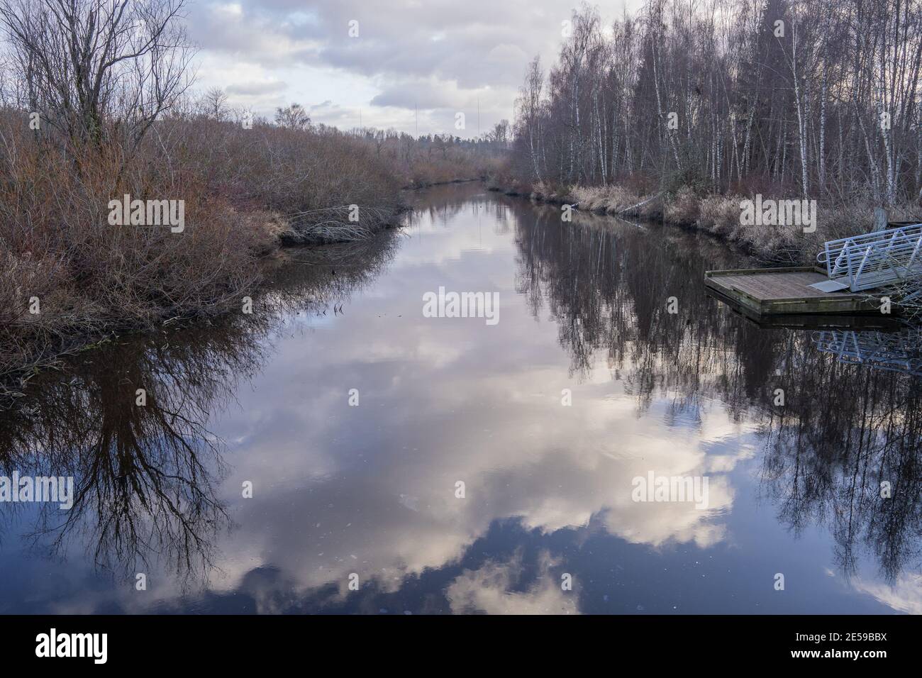 Mercer Slough Nature Park is a 320-acre wetland lushly populated with ...