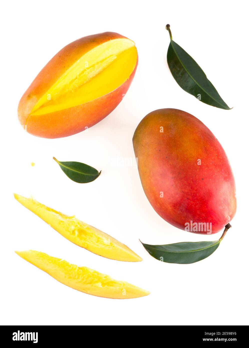 Mango leaf isolated on white background Stock Photo - Alamy