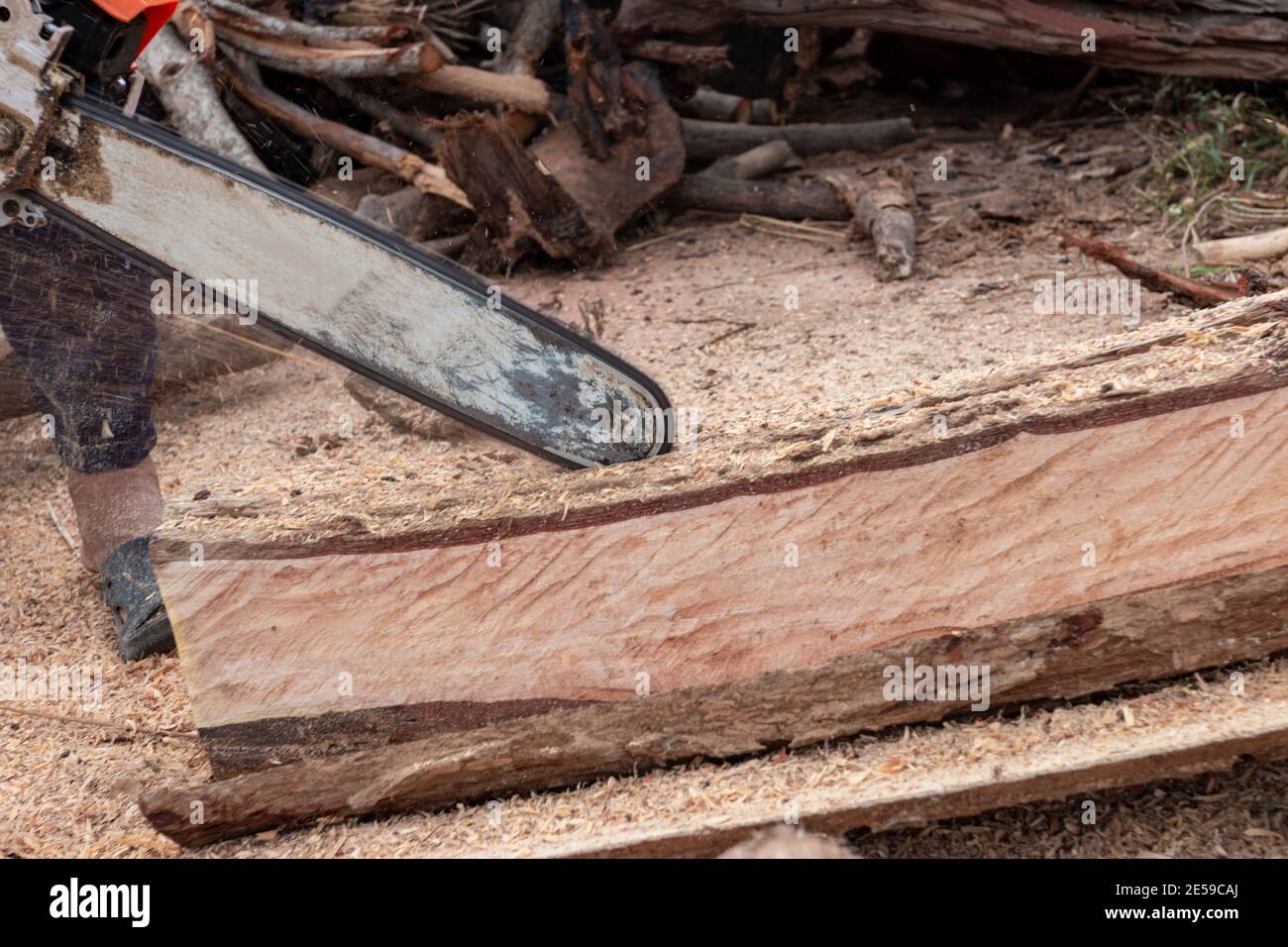 The worker works with a chainsaw. Chainsaw close up. Woodcutter saws ...